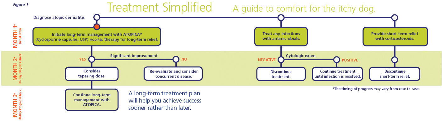 Treatment Simplified: A Guide to Comfort for the Itchy Dog (Sponsored ...