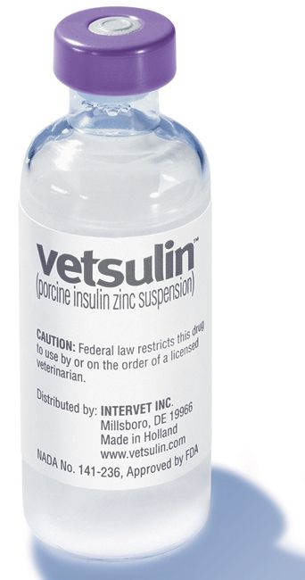 Vetsulin becomes available as only approved drug to manage canine diabetes