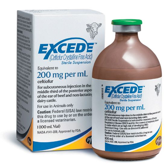 Pfizer's new antibiotic controls and treats bovine respiratory disease ...