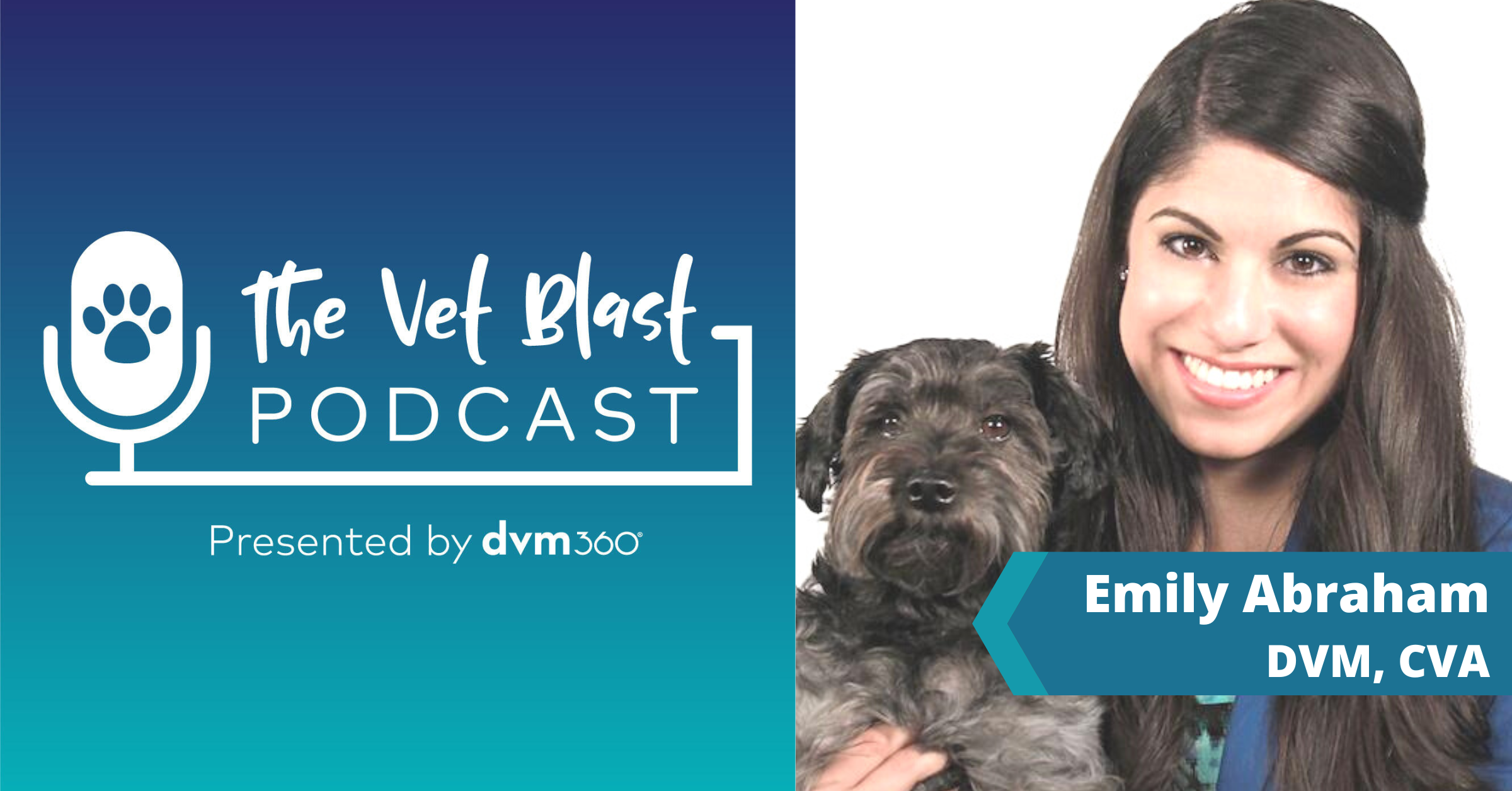 How 1 veterinarian built her practice around integrative medicine