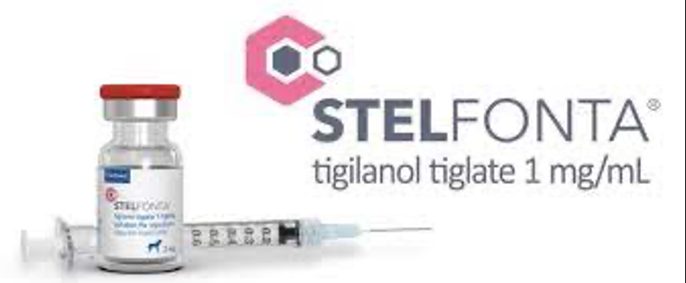 QBiotics' STELFONTA® Receives FDA Approval For Canine Mast, 43% OFF