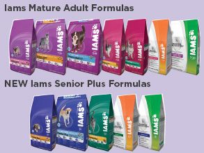 Introducing Iams Senior Plus Formulas