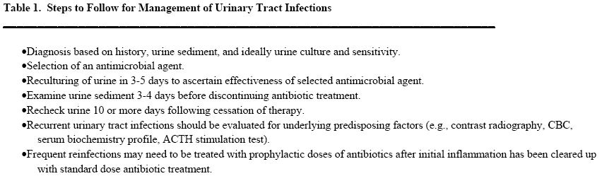 Approach to patients with a complicated or recurrent UTI (Proceedings)