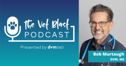 Hacking the DVM brain: The psychology of change in the veterinary ...