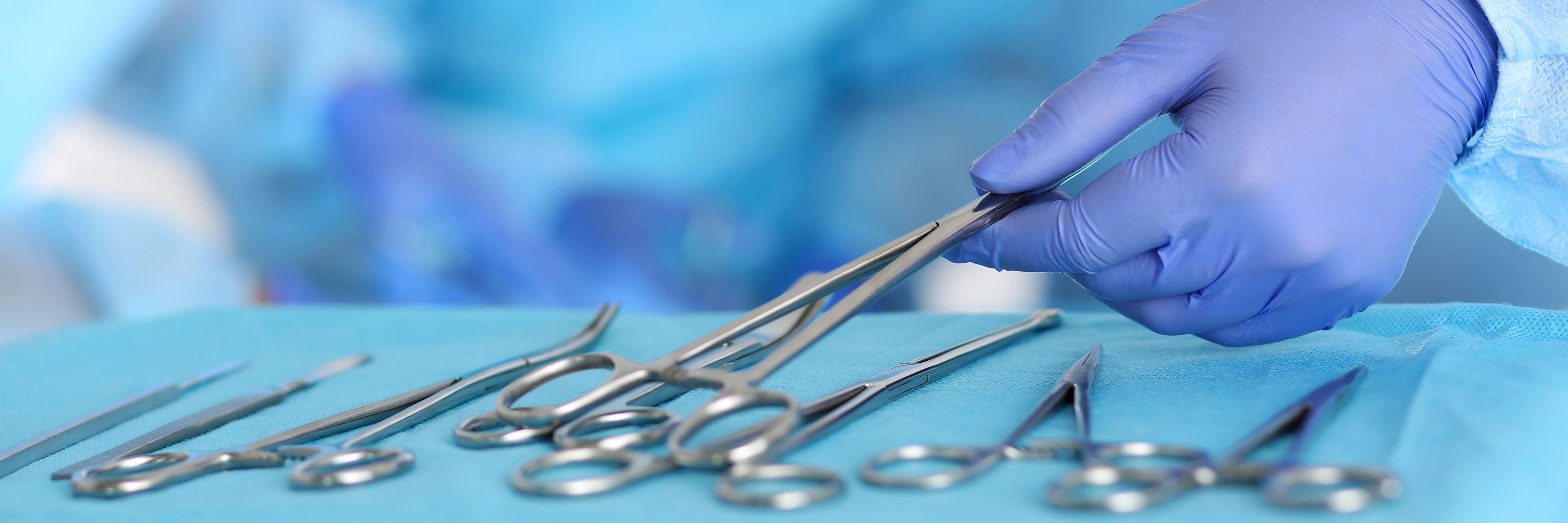 Lessons from the necropsy table: Making sense of what remains | dvm360