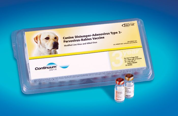 3-Year Vaccine