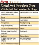 What do we know about bromism in dogs?