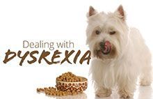 Dealing with dysrexia