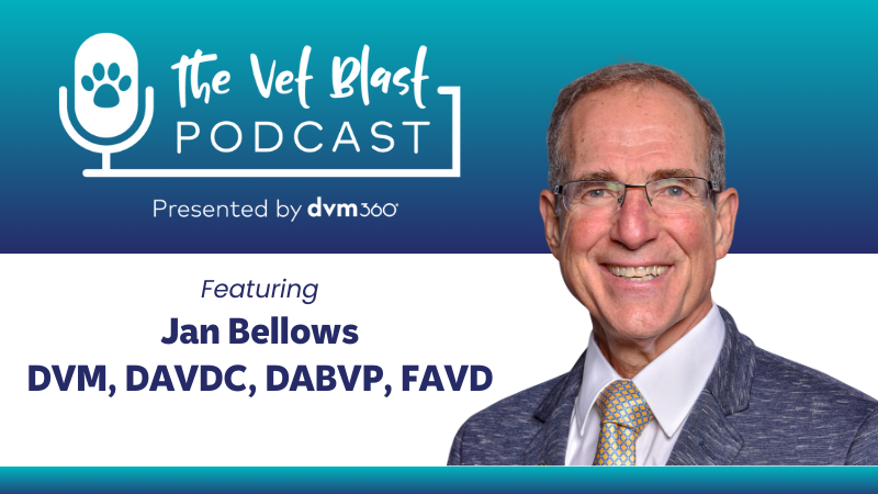 COHAT to COPAT: Elevating veterinary dental prevention | dvm360