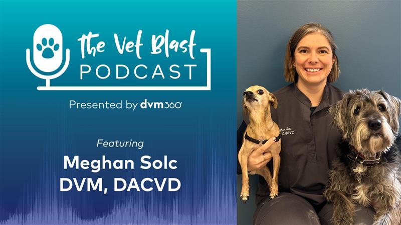 Dermatology red flags and allergy mimickers