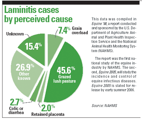 In search of the laminitic pathway