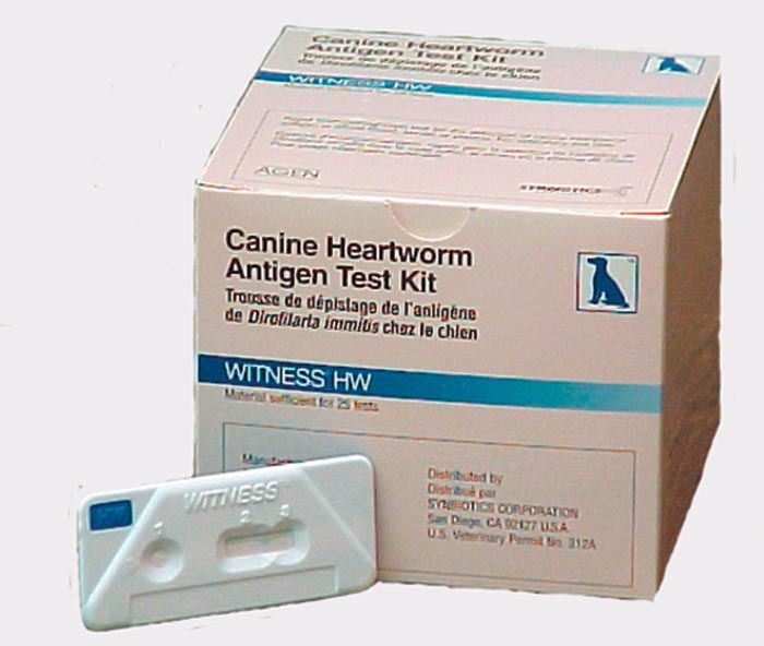 Canine Heartworm Test