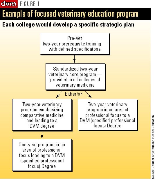 Future veterinarians: a 25-year look ahead