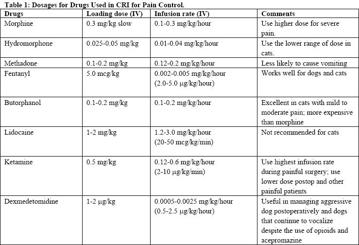 Constant rate infusion Analgesia (Proceedings) | dvm360