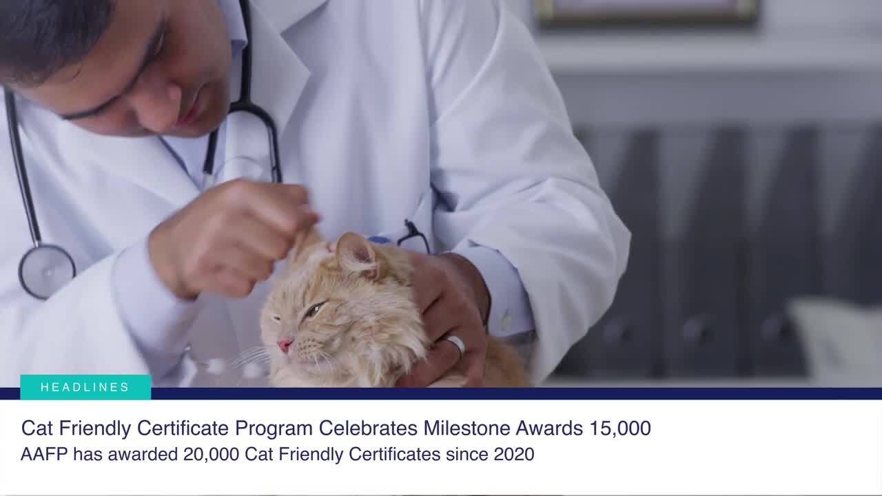 AAFP certificate program, veterinary workshop in Africa, and more