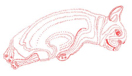 The myth of compassion fatigue in veterinary medicine | dvm360