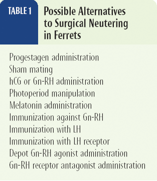 Current and future alternatives to surgical neutering in ferrets to ...