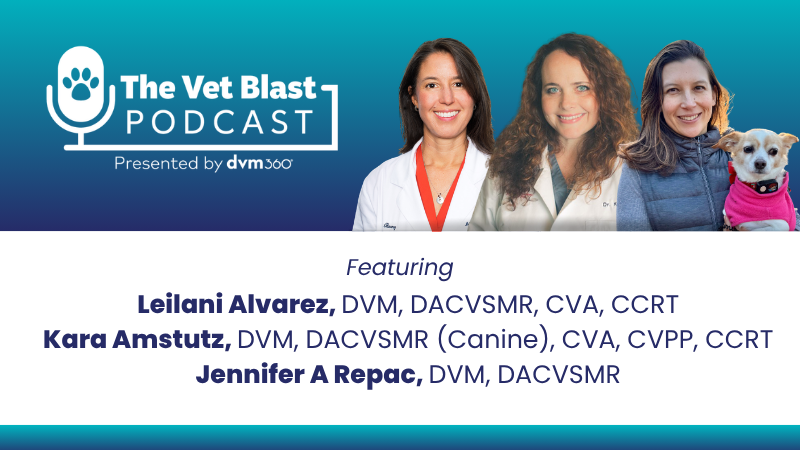 Rehab rewritten: Inside the handbooks of canine exercise therapy | dvm360