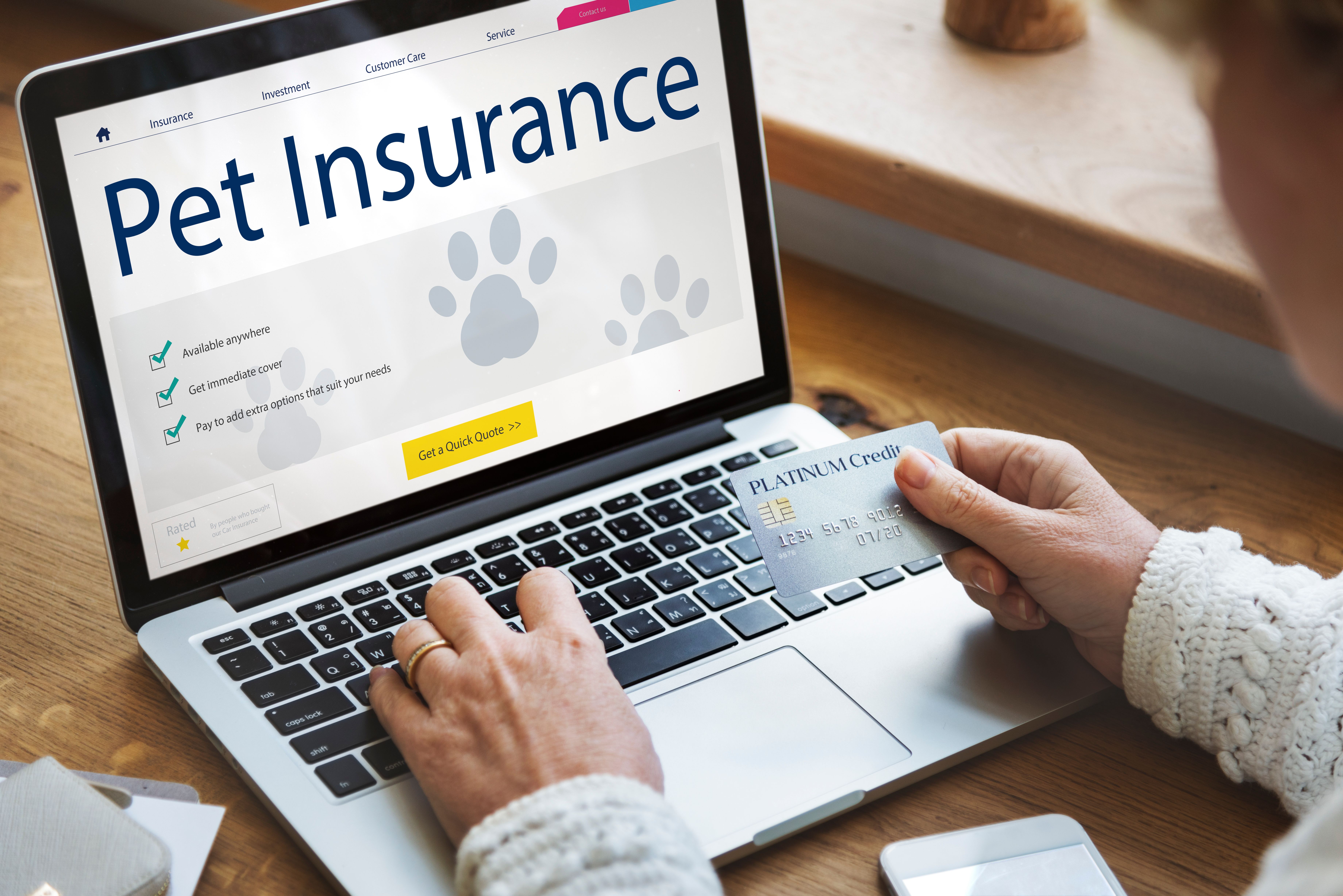 Chewy announces CarePlus pet insurance expansion | dvm360