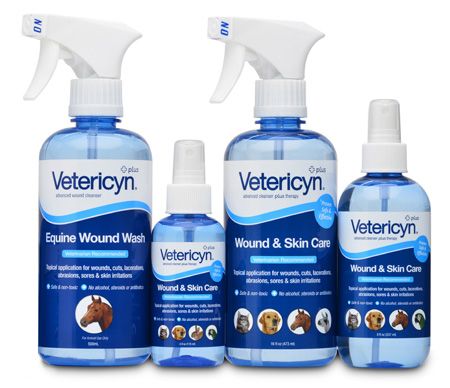 4 products to expunge the worry of canine incontinence