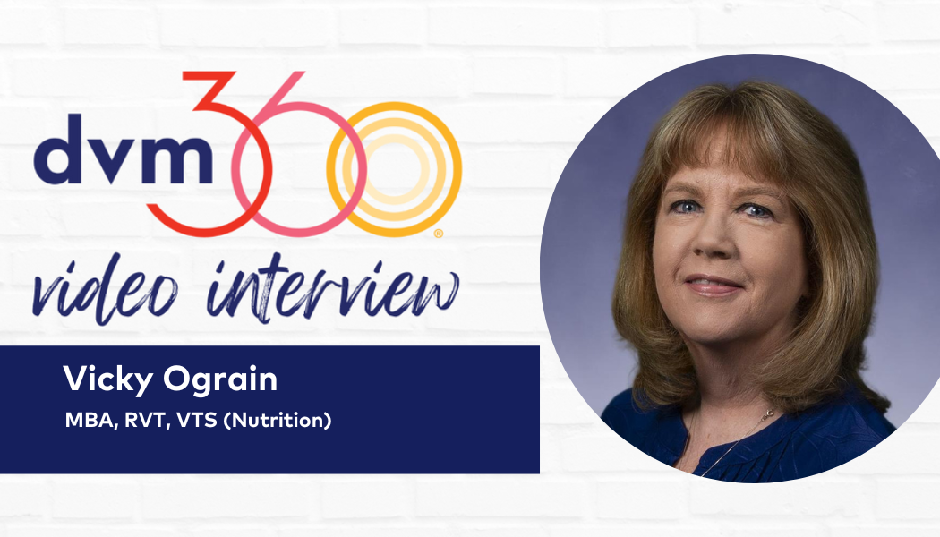 Creating a nutritional protocol in your veterinary practice