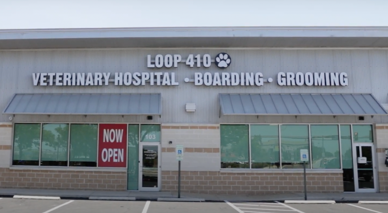 Loop 410 Veterinary Hospital relocates to new facility in San Antonio ...