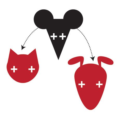 d-CON complies with EPA, but sticks with anticoagulant rodenticide | dvm360