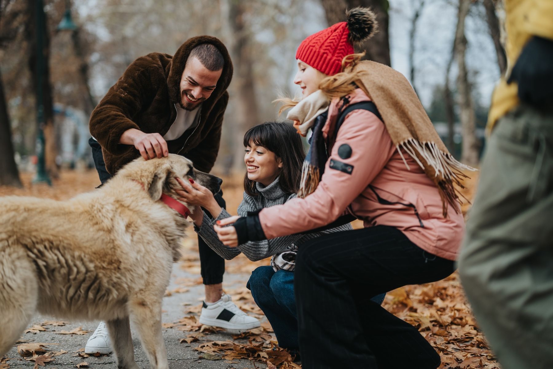 Veterinary Vexations: Phone a friend? Not if it’s a veterinarian! | dvm360