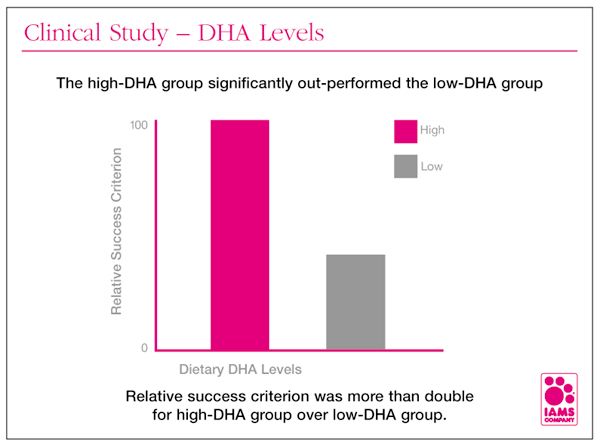 Iams introduces DHA study, updates Eukanuba products