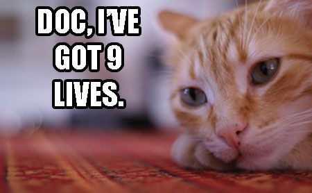 Your wellness plans meme well ...