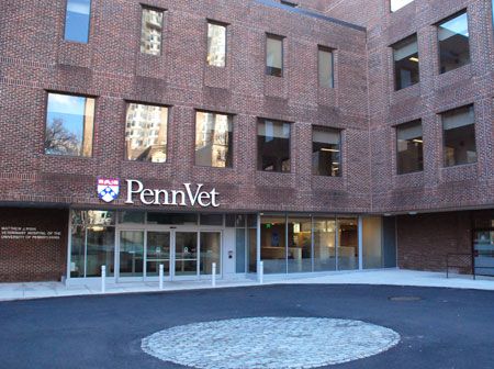 Photo gallery: The top 10 veterinary schools in America, according to U ...