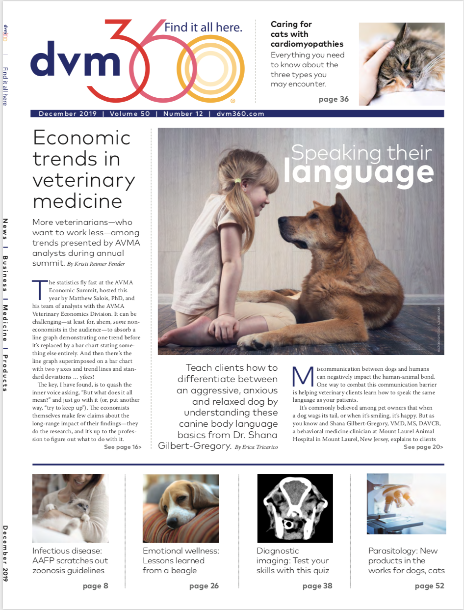 dvm360