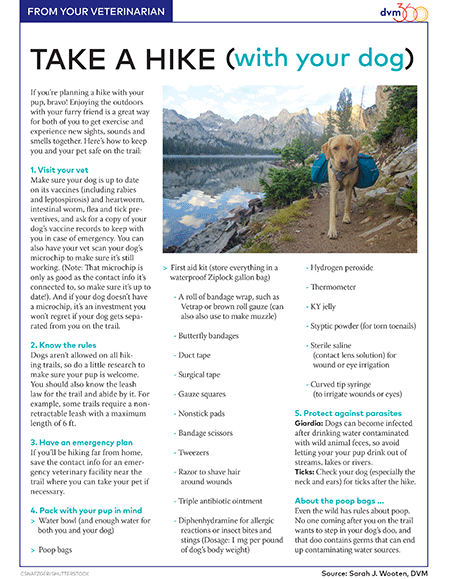 Client handout: Take a hike (with your dog) | dvm360