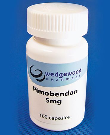 Compounded Pimobendan