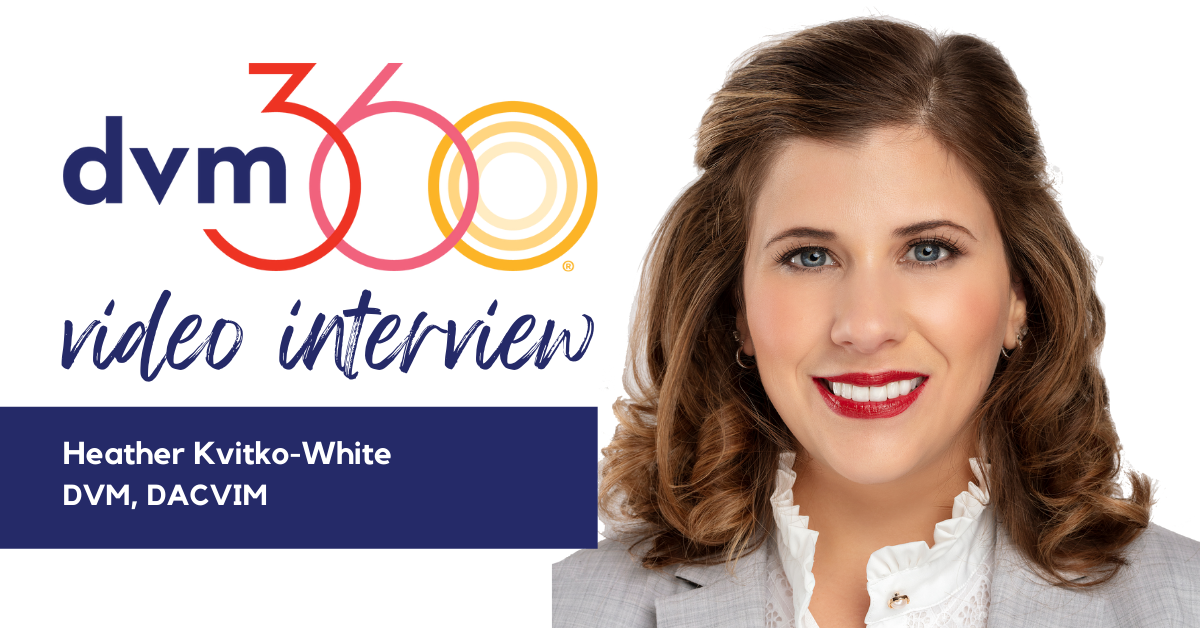 Meet the Fetch Faculty: Heather Kvitko-White, DVM, DACVIM