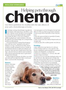 Client handout: Helping a pet through chemo at home
