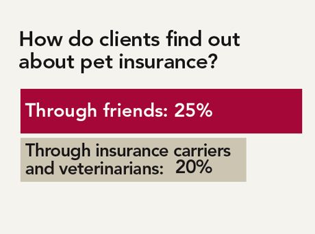 Pet insurance: Veterinary coverage that cares | dvm360