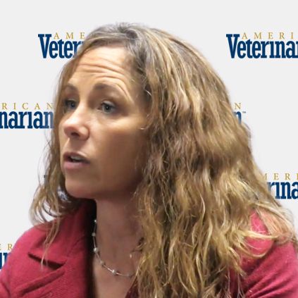 Veterinary Nurse: Changing the Title