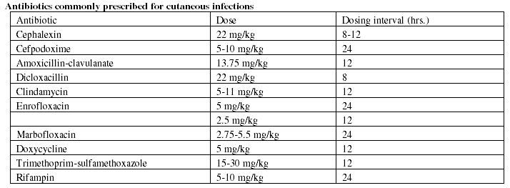 Resistant pyoderma (Proceedings)