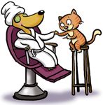 5 ways to make clients feel welcome | dvm360