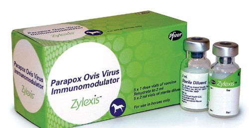 Pfizer introduces Zylexis...