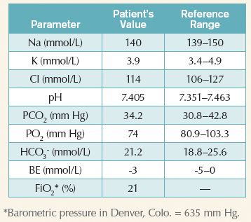 Case example 1: A border collie with a possible foreign body