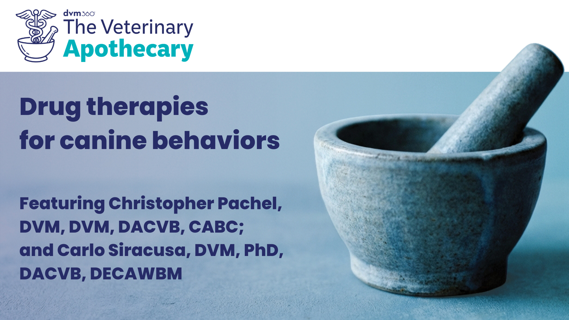 The Veterinary Apothecary: Drug therapies for canine behaviors | dvm360