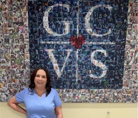 Get to know the dvm360® Veterinary Heroes™ client service ...