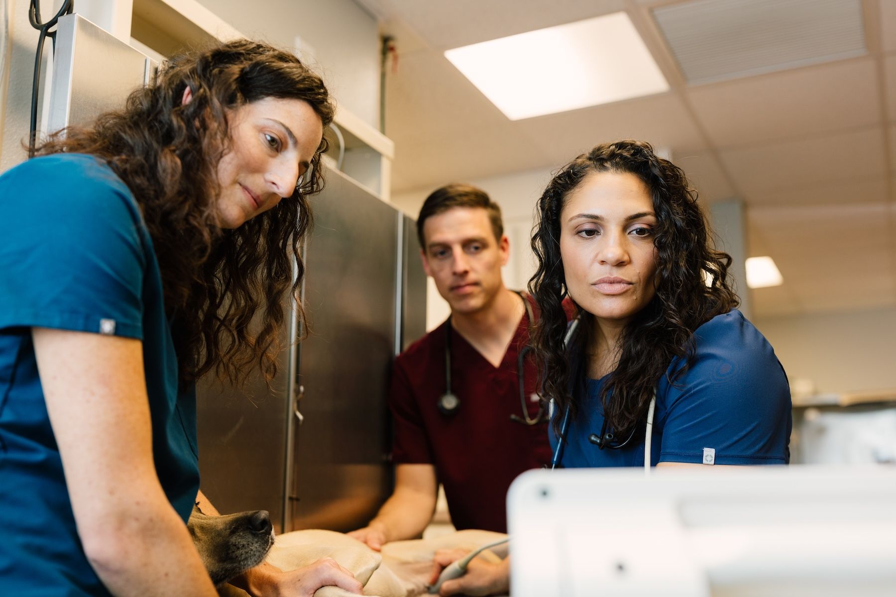 Relief practice allows veterinarians to thrive