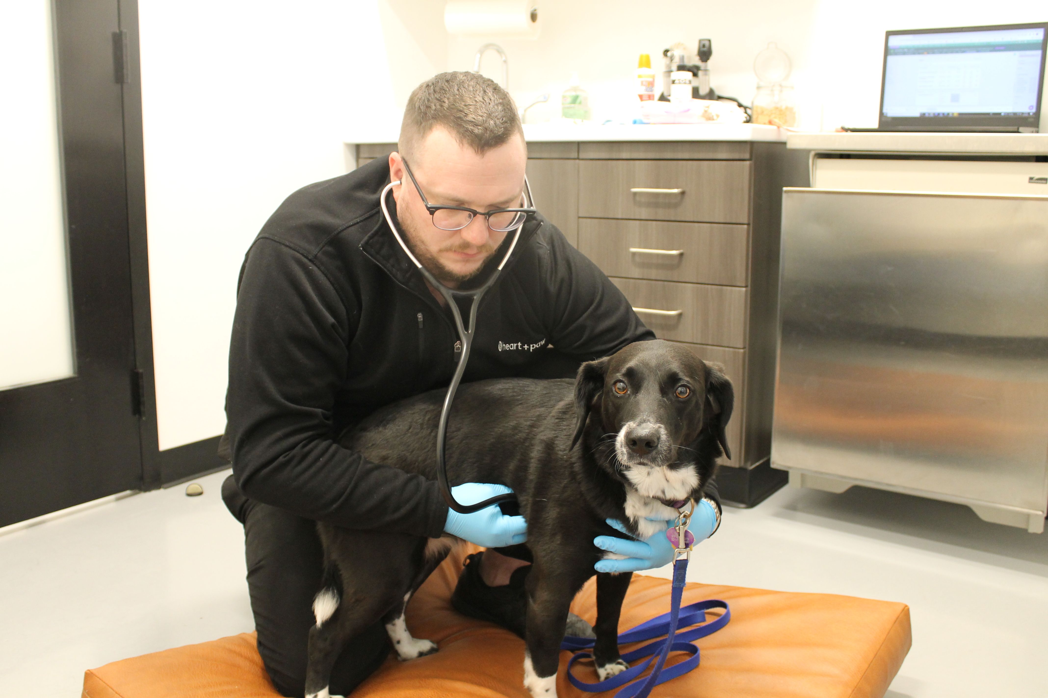 What’s keeping you from starting your own practice?