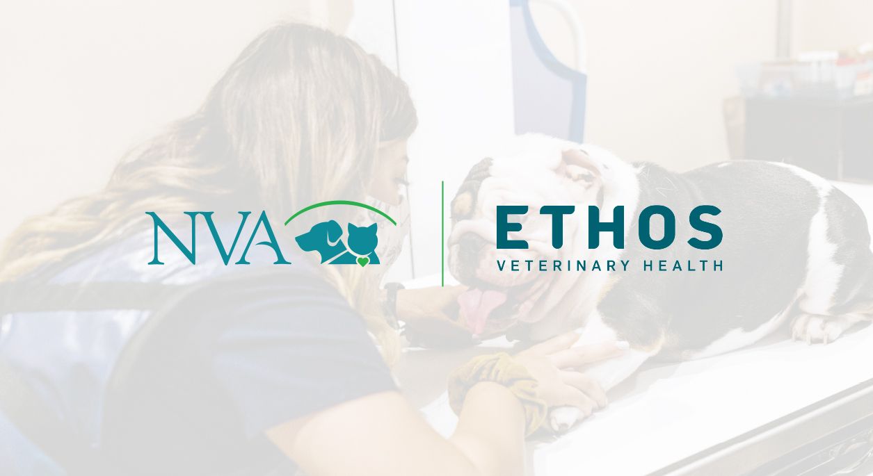 National Veterinary Associates forms 2 distinct businesses | dvm360