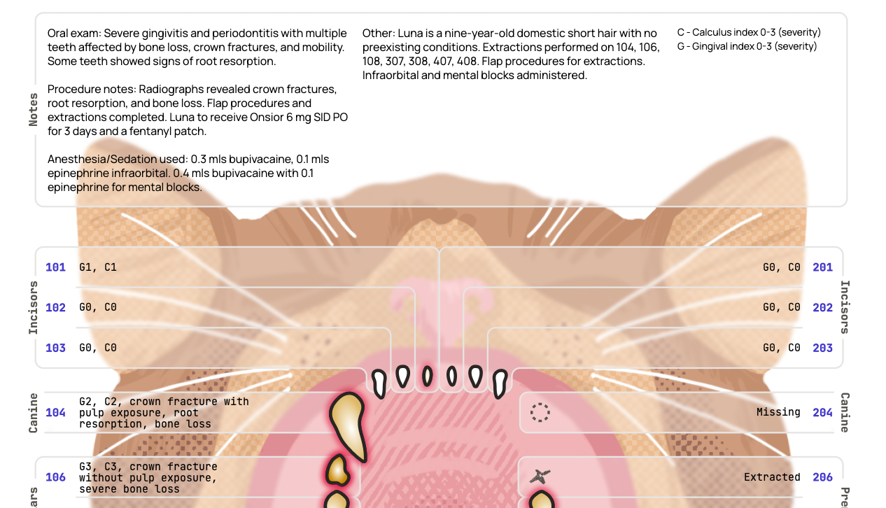 Two companies are integrating AI-based tools for enhanced SOAP notes