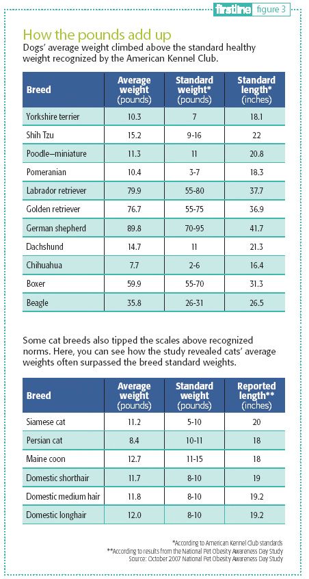 Pets keep getting fatter