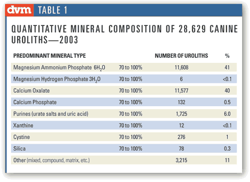 Improving management of urolithiasis: canine struvite uroliths
